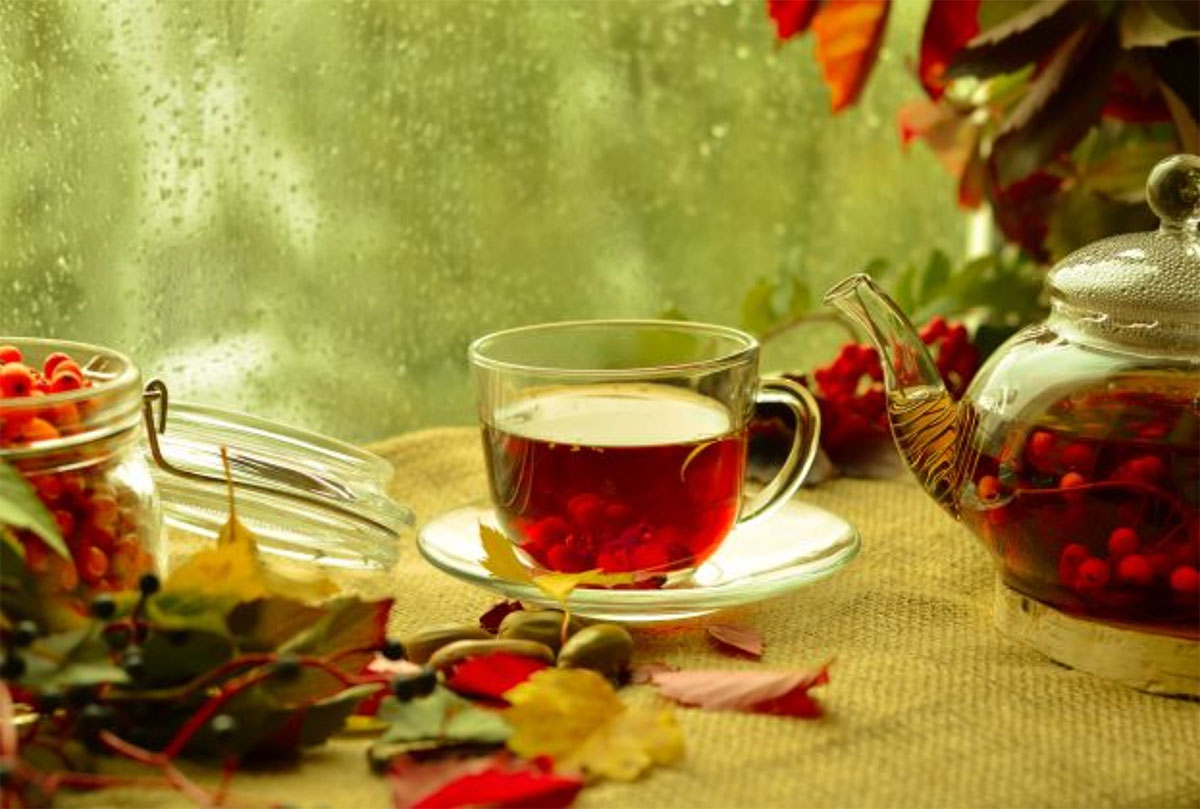 Happy International Tea Day | Mafi Rugs